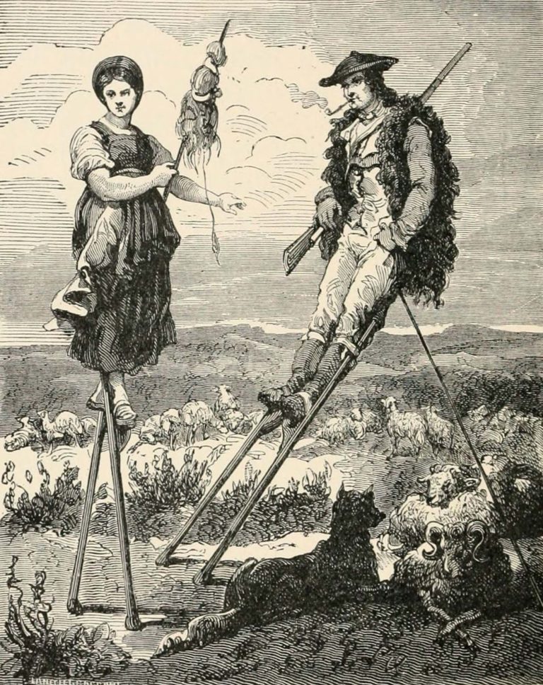 Rare Photos Of France's Stilt-Walking Shepherds: Grassland Life From ...
